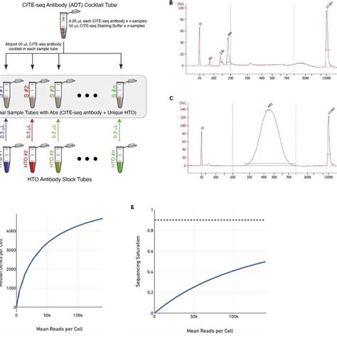 Cite Seq Quality Control A Schematics Of Antibody Staining Process Download Scientific