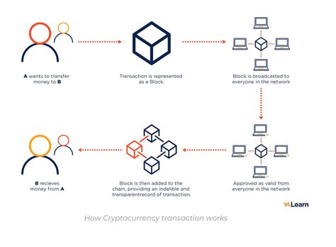 Understanding The Basics Of Cryptocurrency Blockgeni