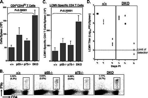 Primary Cd4 T Cell Responses To Lcmv In Tnfr Deficient Mice Eight Days