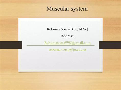 Anatomy Of Muscular Systemppt