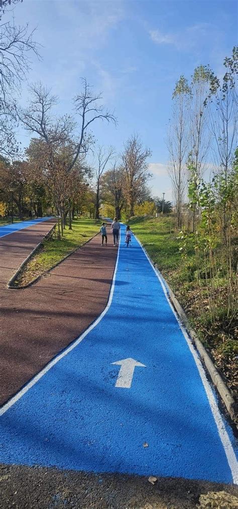 Maksim Dimitrievski On Linkedin занашекуманово