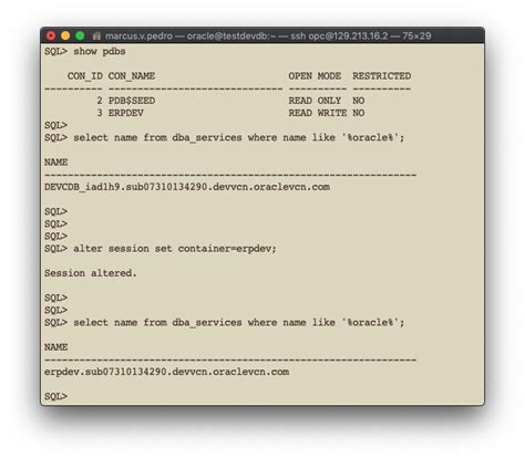 Oracle Cloud Infrastructure Post 8 Connecting To Server Ssh And To Database Oracle Client