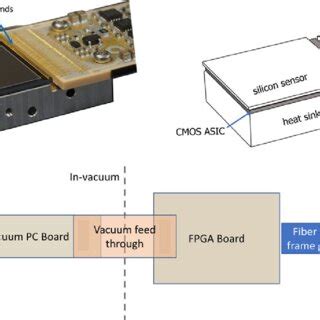Picture Of The Detector Module Showing The Active Imaging Area And Wire Download Scientific