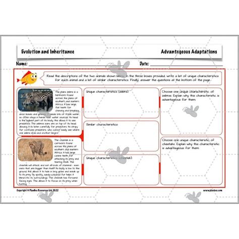 Year 6 Evolution And Inheritance Ks2 Science From Planbee