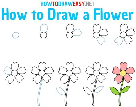 How To Draw A Flower Step By Step Easy Simple Guide For Beginners