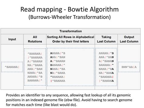 Ppt Chip Seq Data Analysis Powerpoint Presentation Free Download