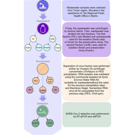 Figure Schematic Visualization Of Complete Workflow For Processing Raw