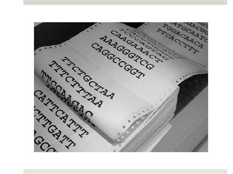 Basics Of Genome Annotation Daniel Standage Biology Department