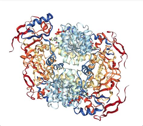 3 Yeast Alcohol Dehydrogenase Complexed With Bound Coenzyme