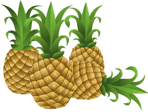Pineapples Clipart 2978228