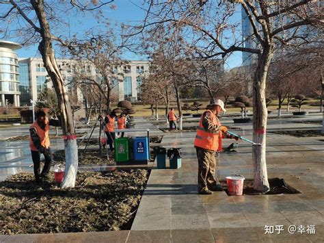 树木涂白穿新衣 防虫治病又美颜 知乎