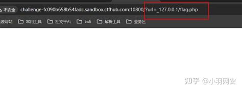 Ctfhub技能树通关教程——ssrf漏洞原理攻击与防御(一)超详细总结 知乎 Ctfhub技能树通关教程——ssrf漏洞原理攻击与防御(一)超详细总结 知乎