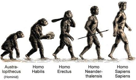Pin By Chirag Pokhrel On Hsgsg Human Evolution Tree Early Humans