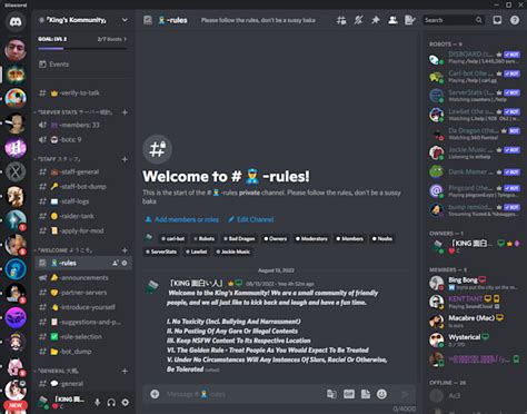 Set Up Your Discord Server By King64k Fiverr