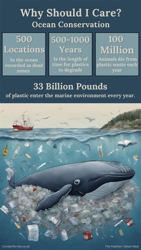 Infographic Ocean Conservation The Feather