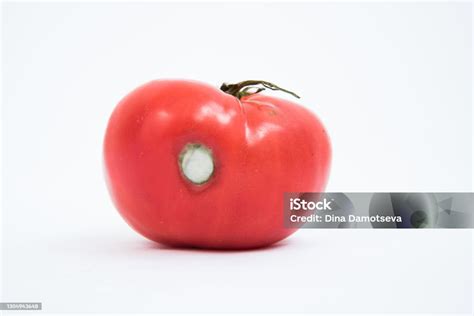 흰색 배경에 큰 빨간 토마토 채소는 썩어가는 징후가 있습니다 곰팡이가 있는 토마토 부정적인 감정 표현에 대한 스톡 사진 및 기타