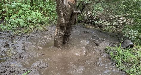 Mud Mud Mud 38 Pics Xhamster