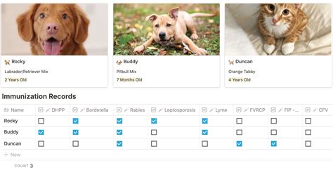 Notion Template Track Pet Budget Vaccines And Walking Routes — Red