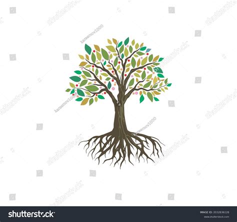Tree Roots Vector Illustrations Isolated On Stock Vector Royalty Free 2032836128 Shutterstock