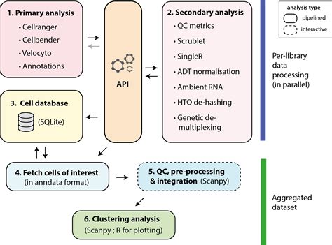 Workflow Overview Cellhub 0 1 Documentation