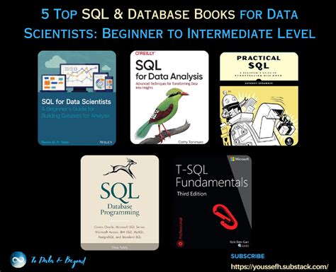 5 top sql and database books for data scientists beginner to