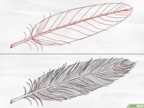 How To Draw A Feather Easy 8 Step Guide