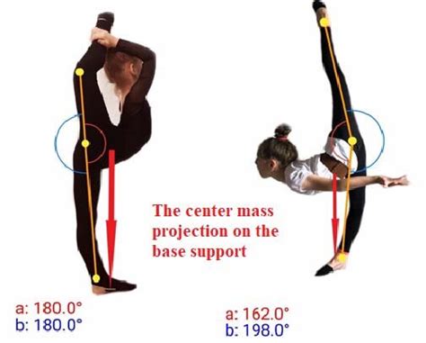 Nest Balance And Panché Balance Download Scientific Diagram