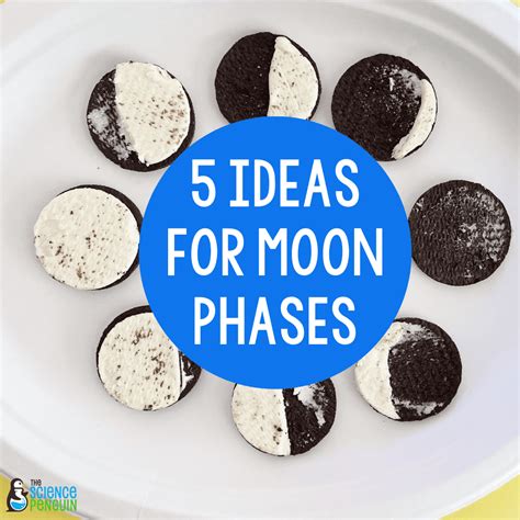 Moon Project Ideas Moon Phases Science Project