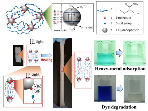 Polymers Free Full Text Tough And Self Healable Nanocomposite