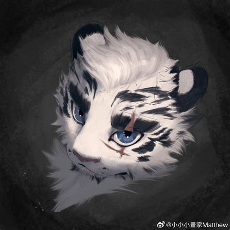 Xiao Xiao Xiao Hua Jia Matthew Danbooru