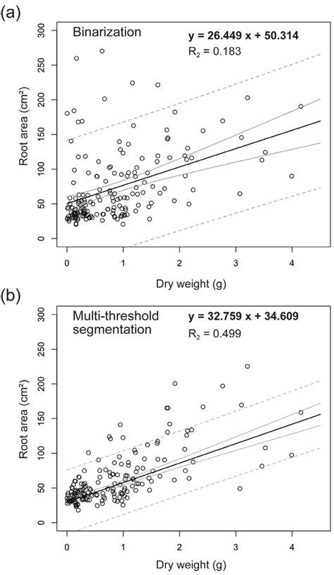 Relationship Between The Dry Weight And The Estimated Root Areas Using Download Scientific