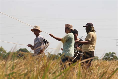 Aplikasi KKN Dan PENGMAS