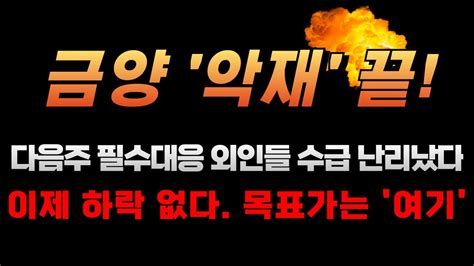 금양 악재는 끝났습니다 관리종목 해제와 함께 도약할 주가 목표가는 여기 Youtube