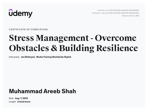 Udemy Course Completion Certificate Muhammad Areeb Shah