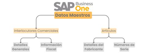 Datos Maestros De Sap Business One Aventi