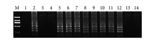 Practical Sample Detection With Different Practical Samples A Lamp