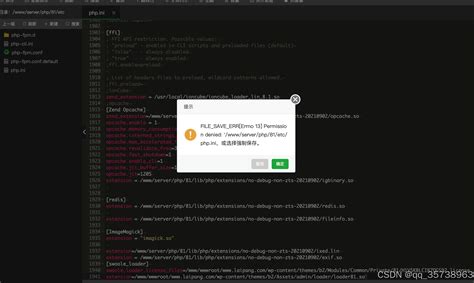 宝塔面板保存文件报错 完美解决：filesaveerr Errno 13 Permission Denied 或选择强制保存宝塔搭建网站替换文件 显示文件保存错误 权限被拒绝 Csdn博客
