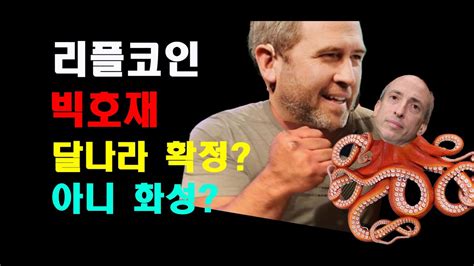 리플 코인 호재 소송 결과 정보 달나라 아니 화성 확정 어디까지 갈까 Youtube