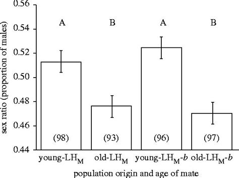 Do Female Drosophila Melanogaster Adaptively Bias Offspring Sex Ratios