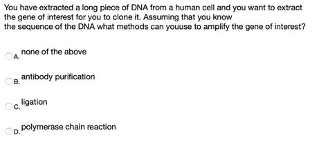 Solved You Have Extracted A Long Piece Of Dna From A Human Cell And