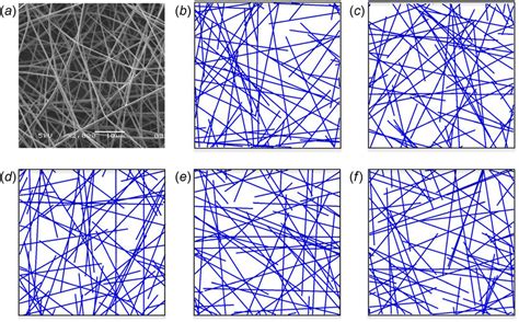 Randomly Distributed Nonwoven Polymer Fiber Networks A Download
