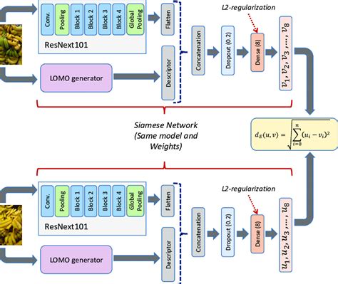 Third Approach Siamese Net With ResNeXt X D And LOMO Descriptor Download Scientific