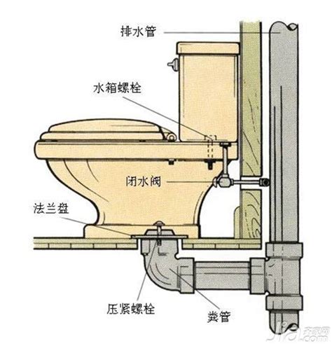 马桶结构图