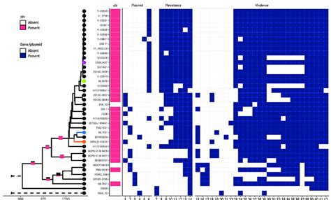 Single Linkage Hierarchical Clustering Tree Of Enteroaggregative Shiga