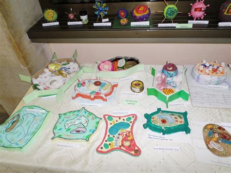 Как можем да учим и да се забавляваме Профилирана природо математическа гимназия Ловеч