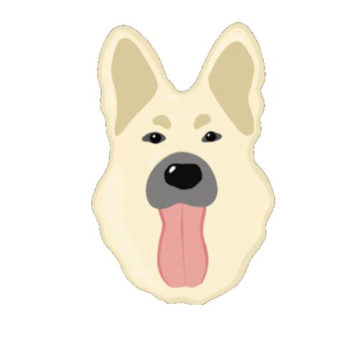 Find And Share On Giphy