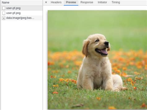Reactjs Image Shows Correctly In Network Preview But On Its