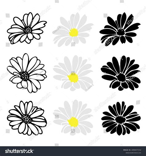 78979 Daisy Isolated Stock Vectors Images And Vector Art Shutterstock