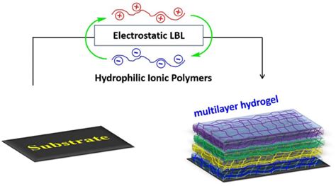 The Scheme For Formation Of Multilayer Hydrogel From Electrostatic Lbl