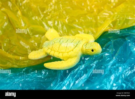 Leatherback Turtle Eating Plastic Bags